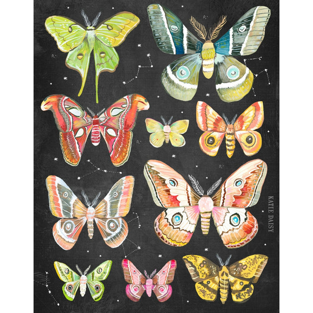Moth Chart Print – The Workhouse Bend